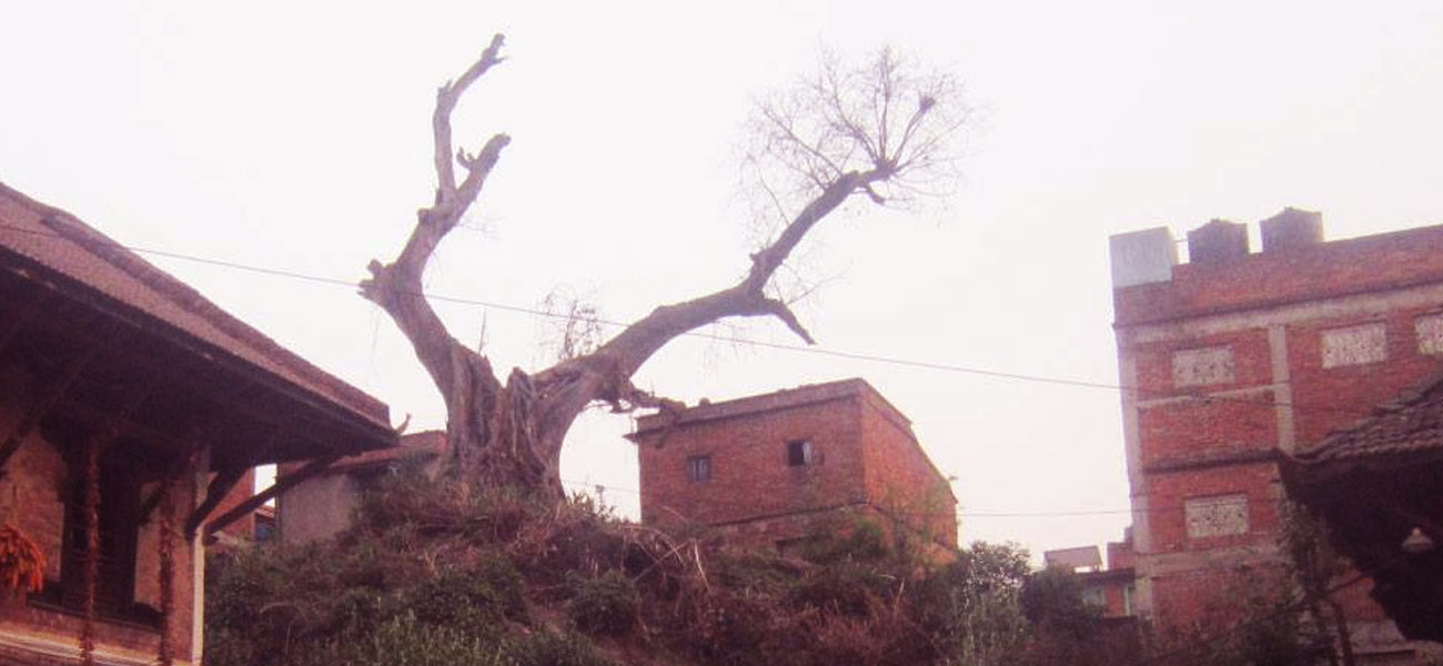 Kirata Cities in Ancient Nepal - Himalayan Cultures