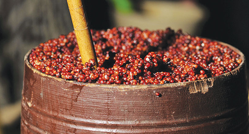 Alcohol Abuse among Tribal Communities - Himalayan Cultures